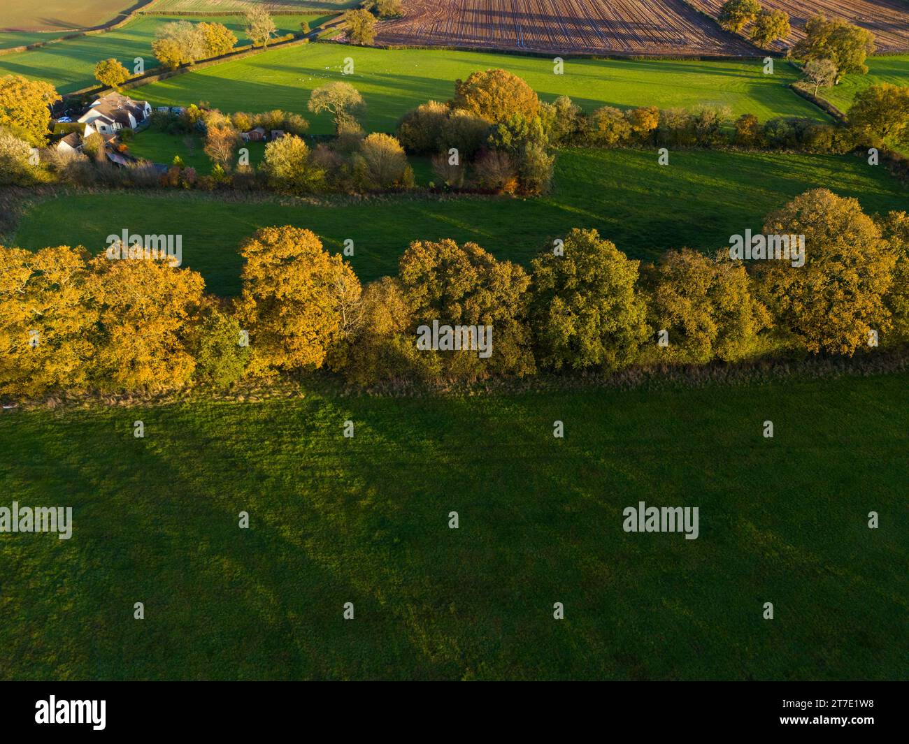 Hedgeline hi-res stock photography and images - Alamy