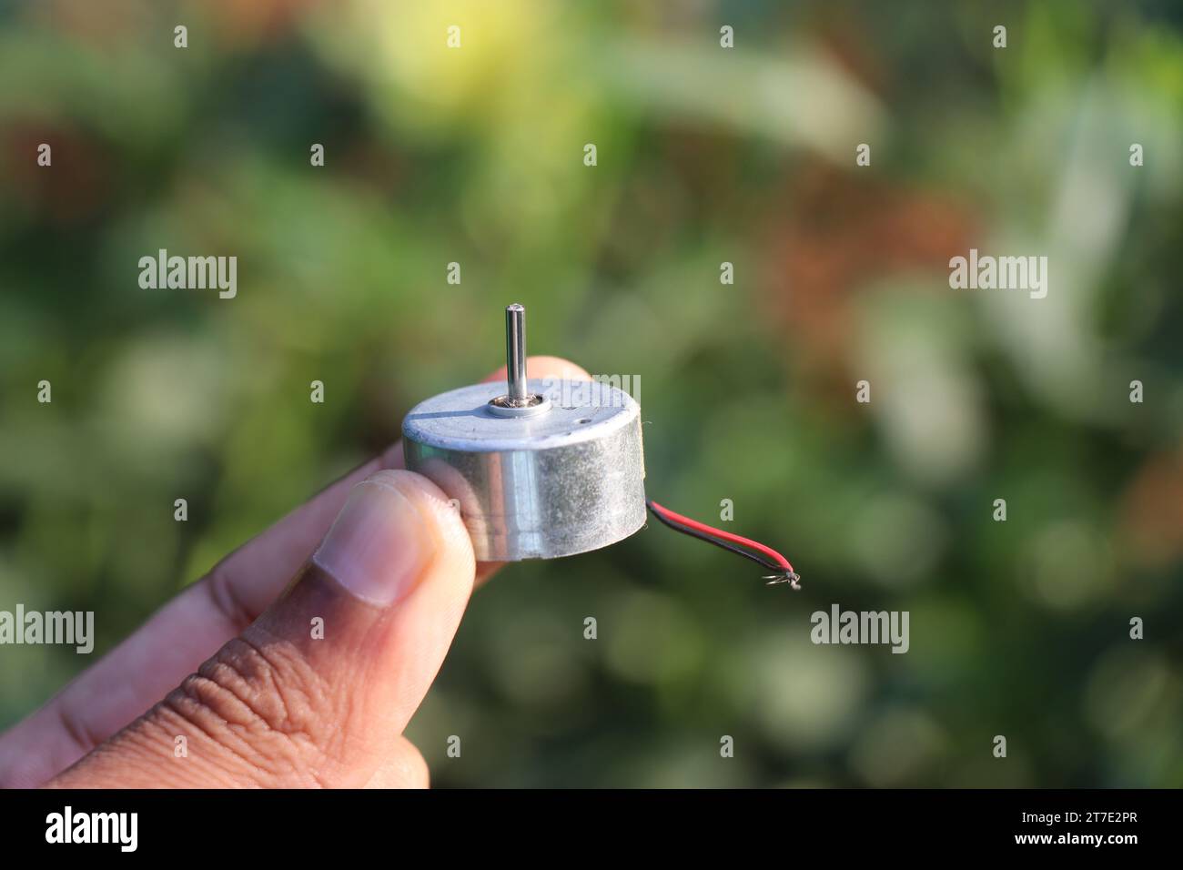 Round dc motor also called as dvd motor held in the hand on a nature ...