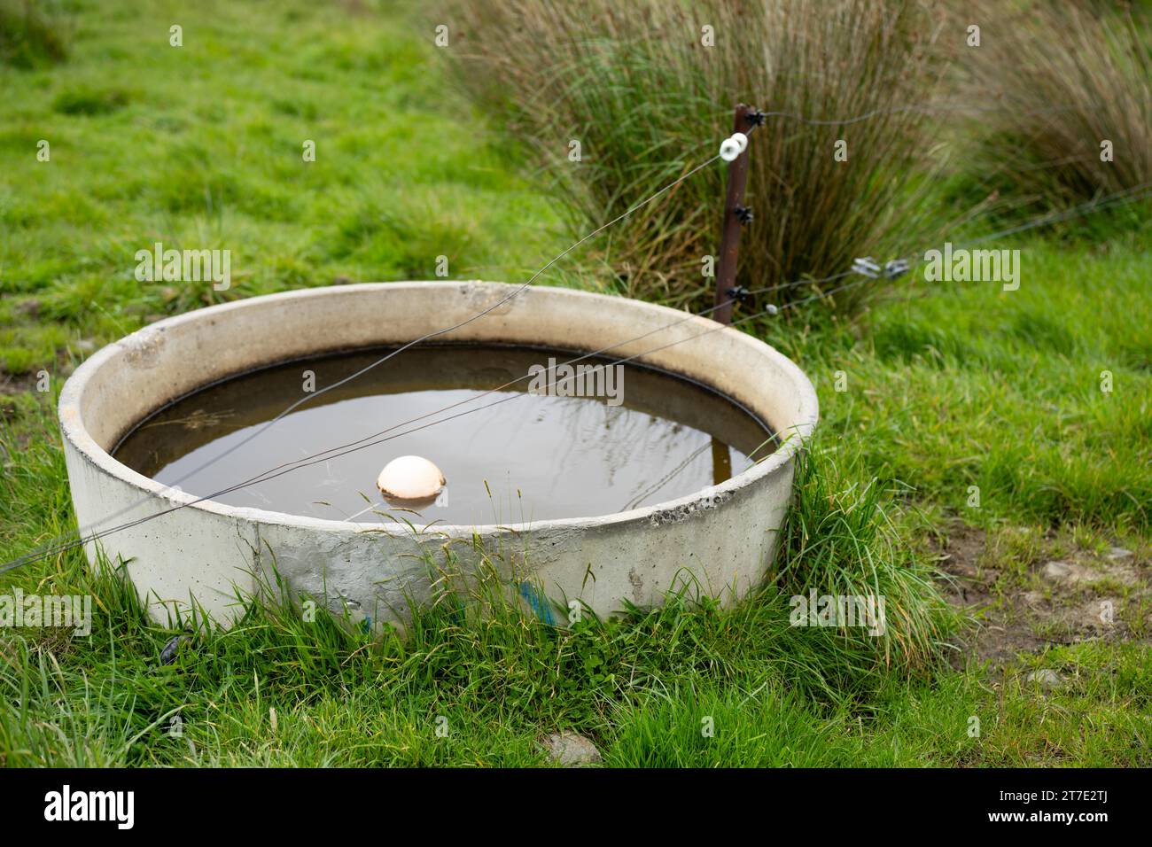 livestock water trough in a field on a cattle farm Stock Photo - Alamy