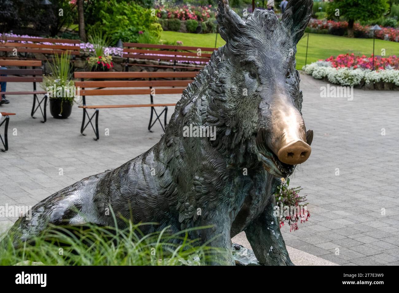 Statue of Boar, Butchart Gardens, Vancouver Island Stock Photo - Alamy
