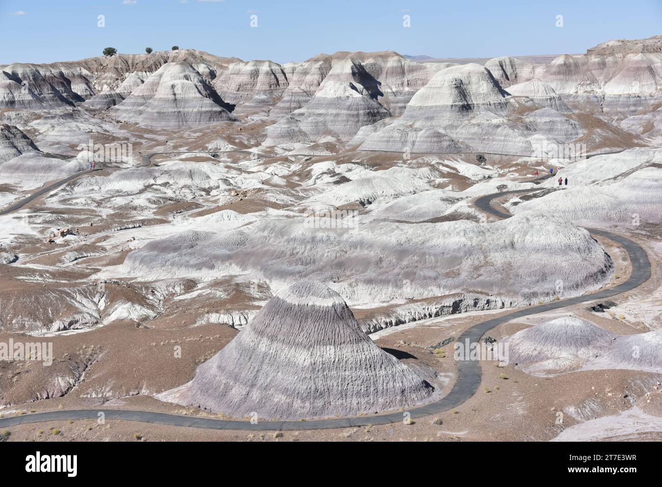 Painted Desert National Park, AZ USA 10/17/2023. Blue Mesa is a ...