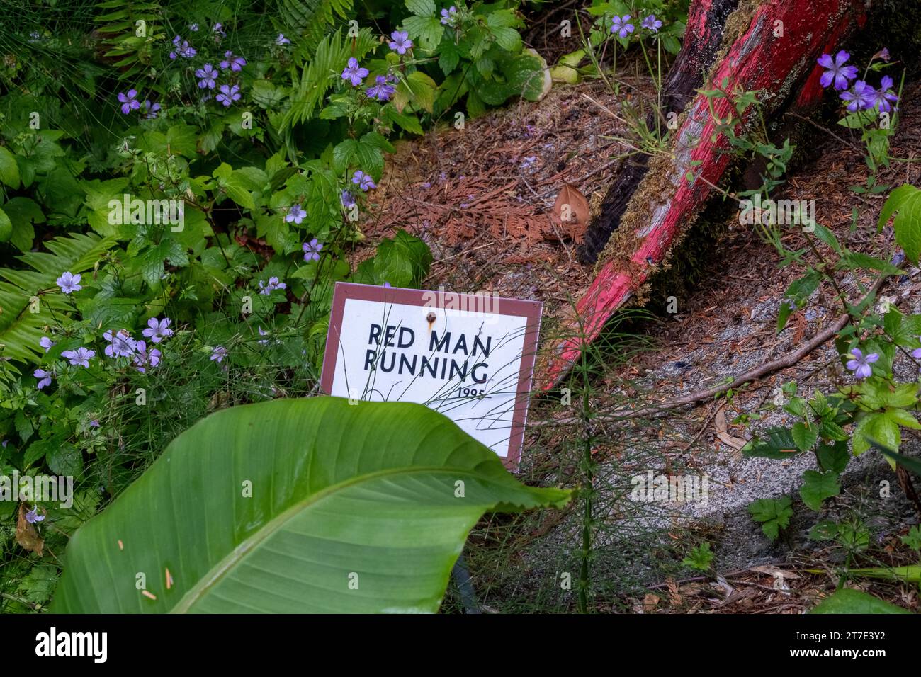 Red man Running Sculpture, Tofino Botanical Gardens Stock Photo - Alamy