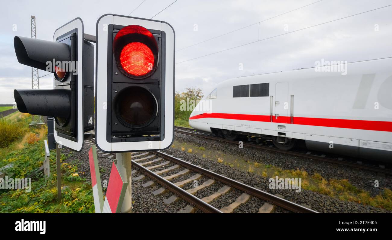 Schellerten, Germany. 15th Nov, 2023. A red traffic light lights up at ...