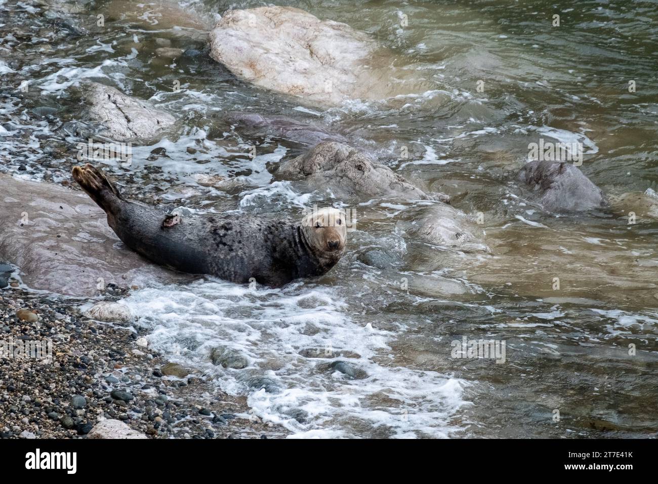Angel bay llandudno hi-res stock photography and images - Alamy