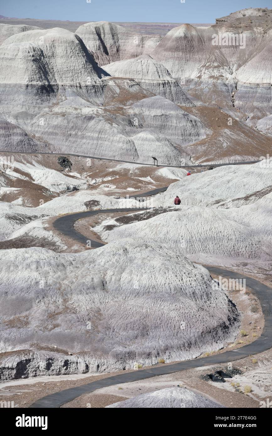 Painted Desert National Park, AZ USA 10/17/2023. Blue Mesa is a ...