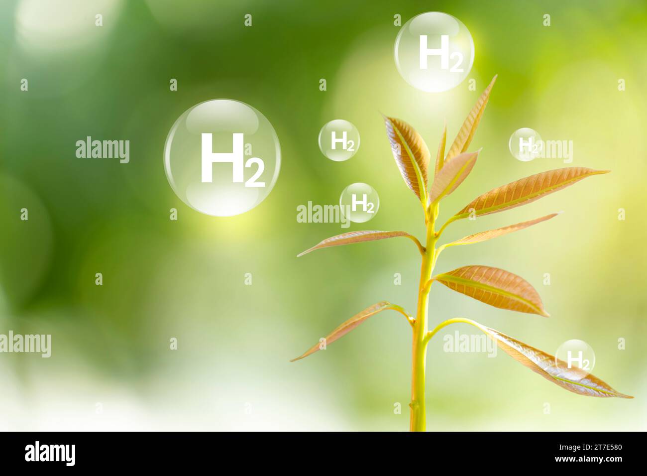 Green nature H2 hydrogen innovation zero emissions technology. H2 icons ...