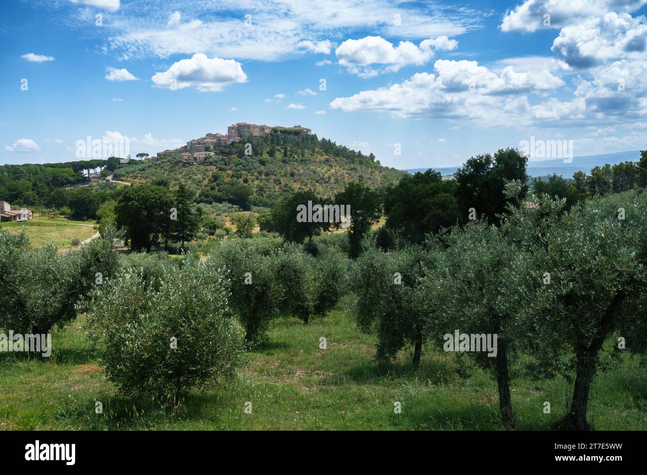 Rural landscape in Val Teverina, Terni province, Umbria, Italy, near ...
