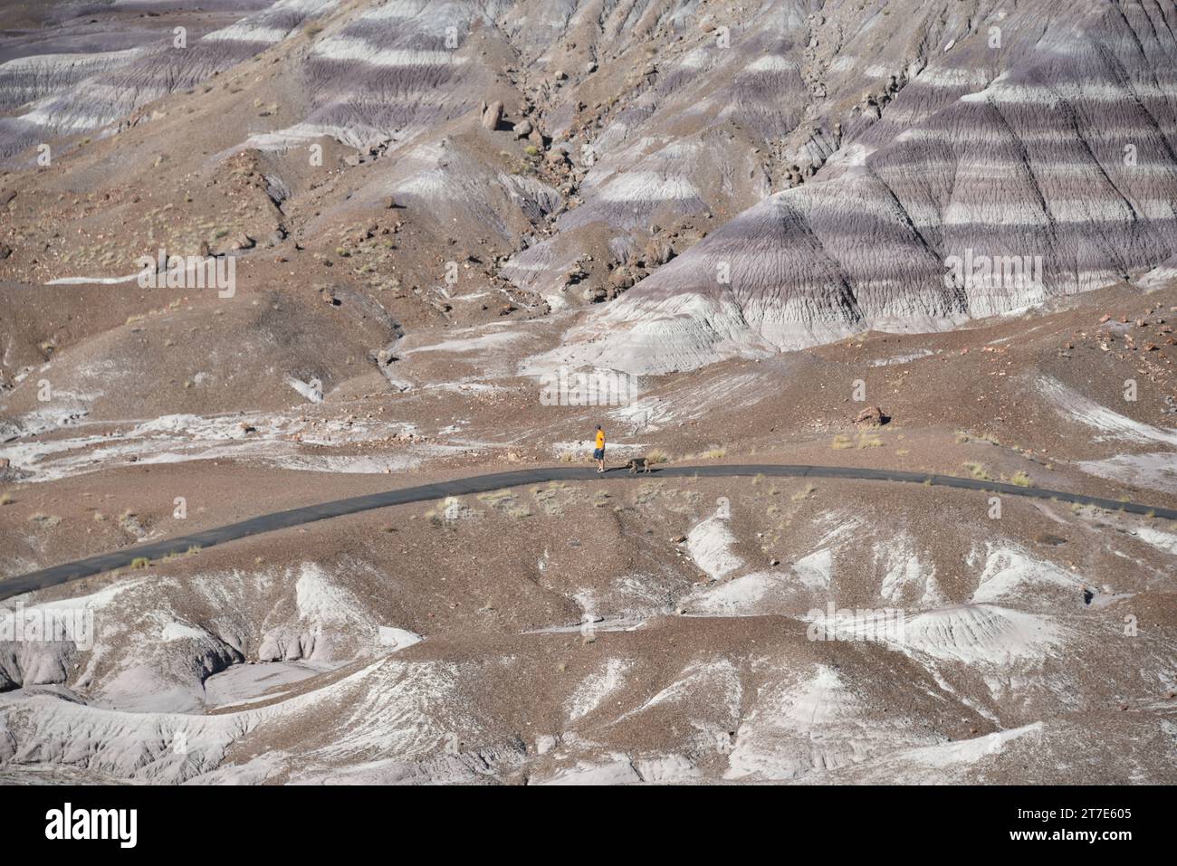 Painted Desert National Park, AZ USA 10/17/2023. Blue Mesa is a ...