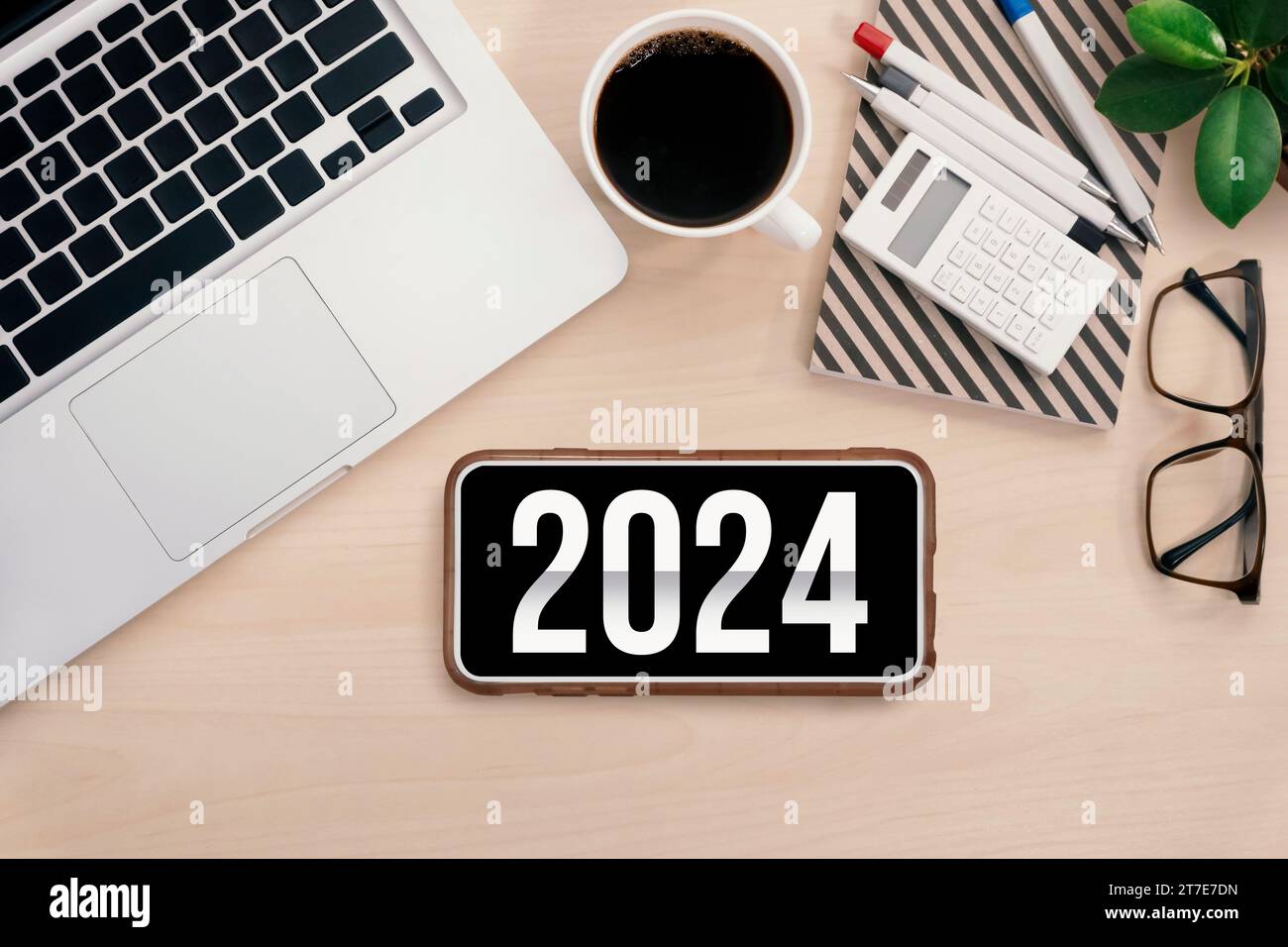 year 2024 Calendar for Planner and organizer to plan and reminder daily ...