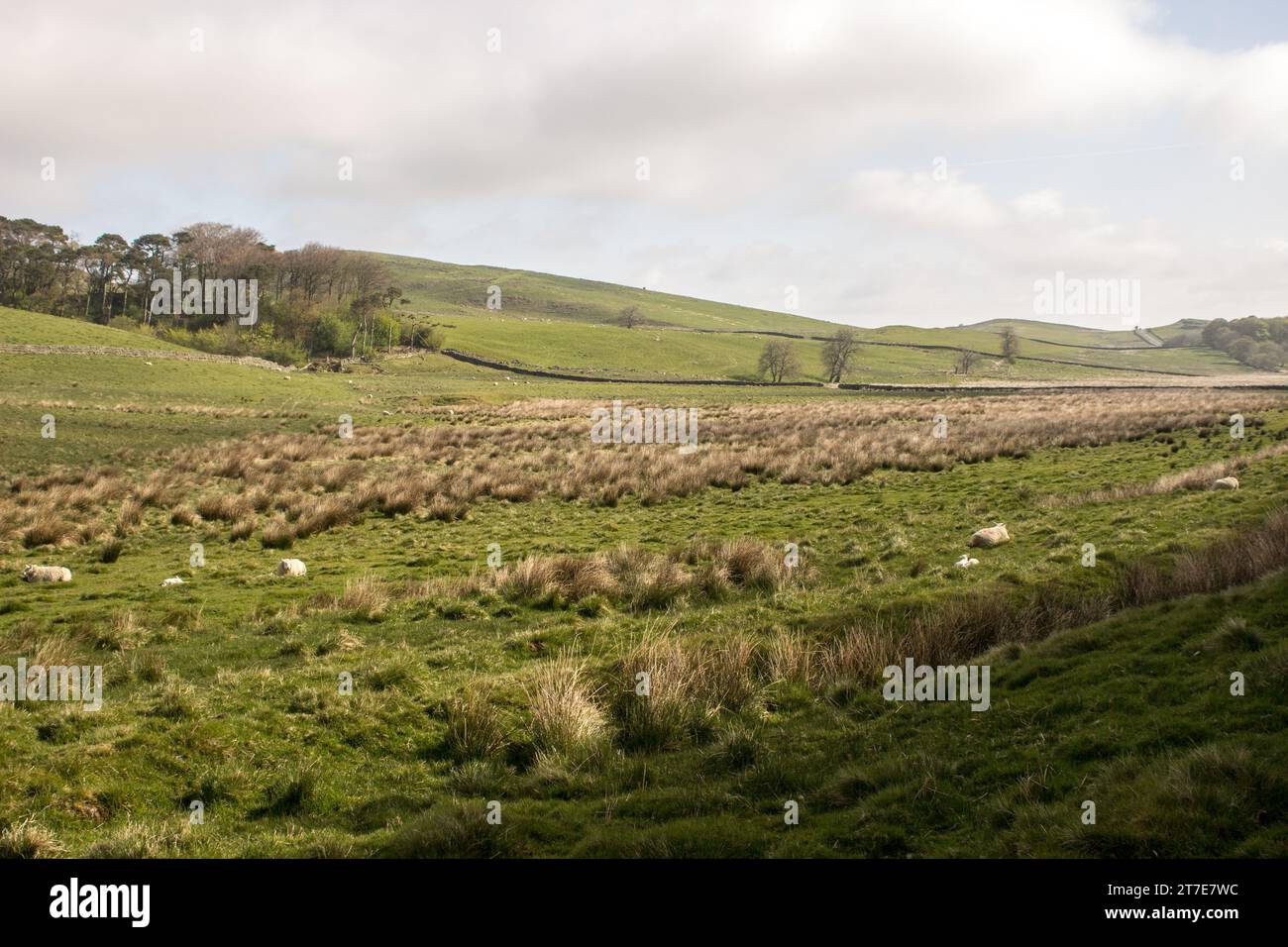 Grasslands in Northern England Stock Photo - Alamy