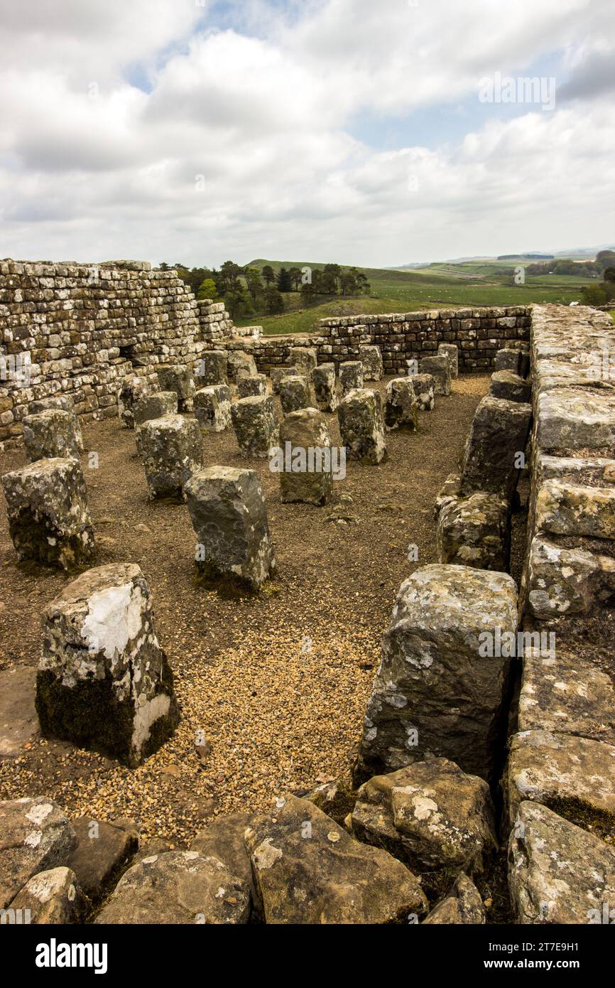 The Ruins of a roman aged warehouse within Housesteads Fort along ...