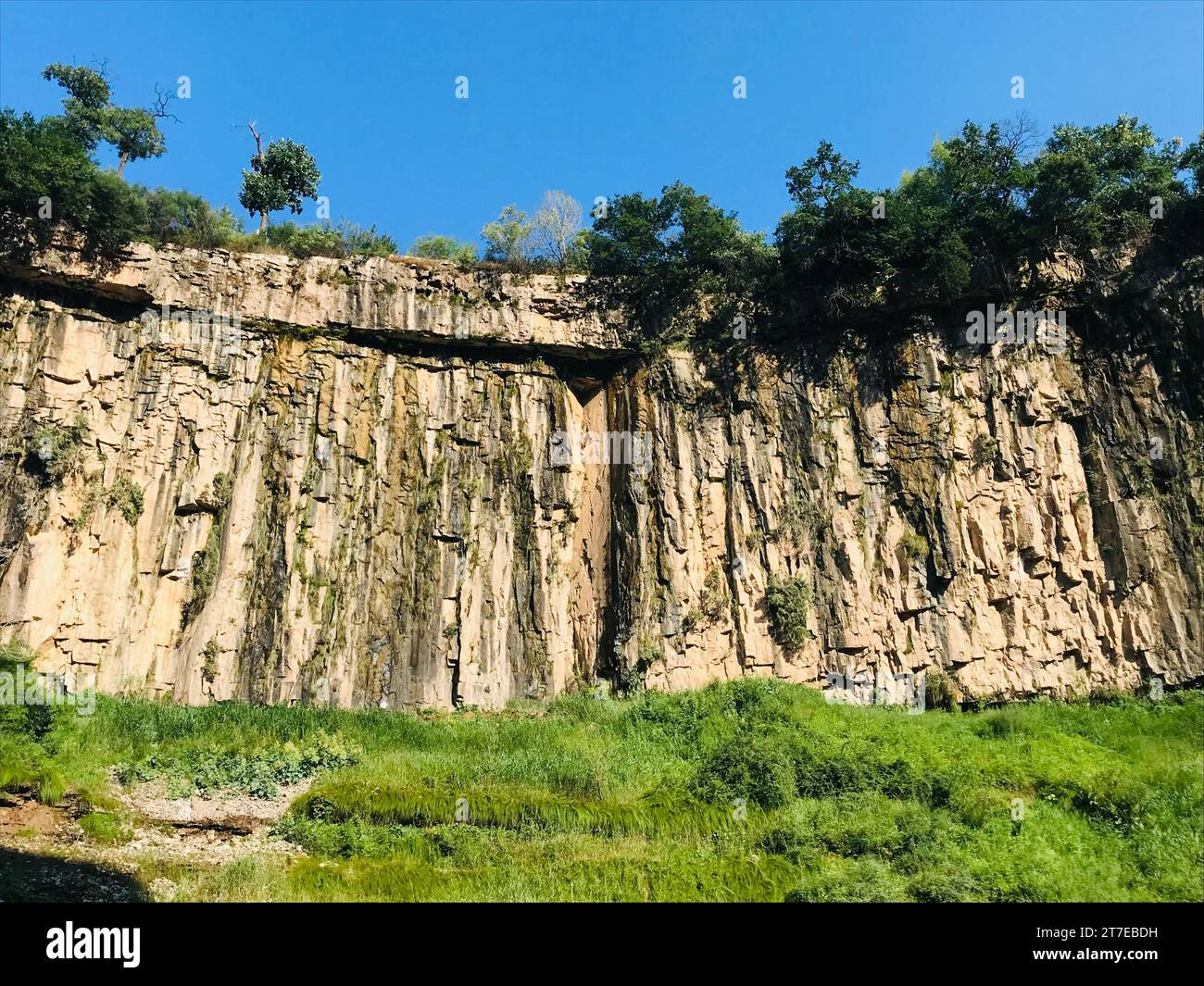 A stunning aerial view of a tall cliff face with vibrant green trees ...