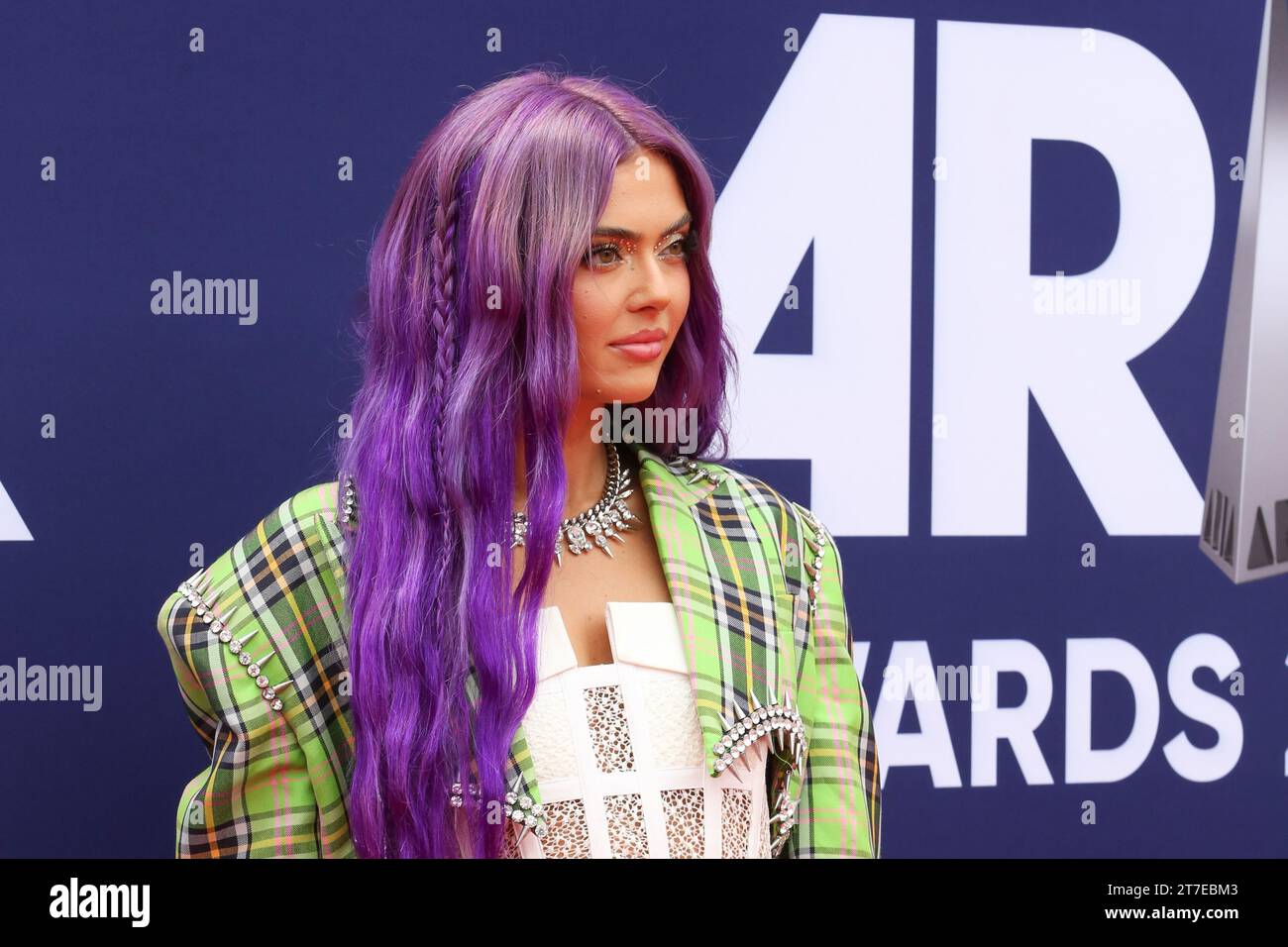 November 15, 2023: CHARLEY attends the 37th Annual ARIA Awards at The ...
