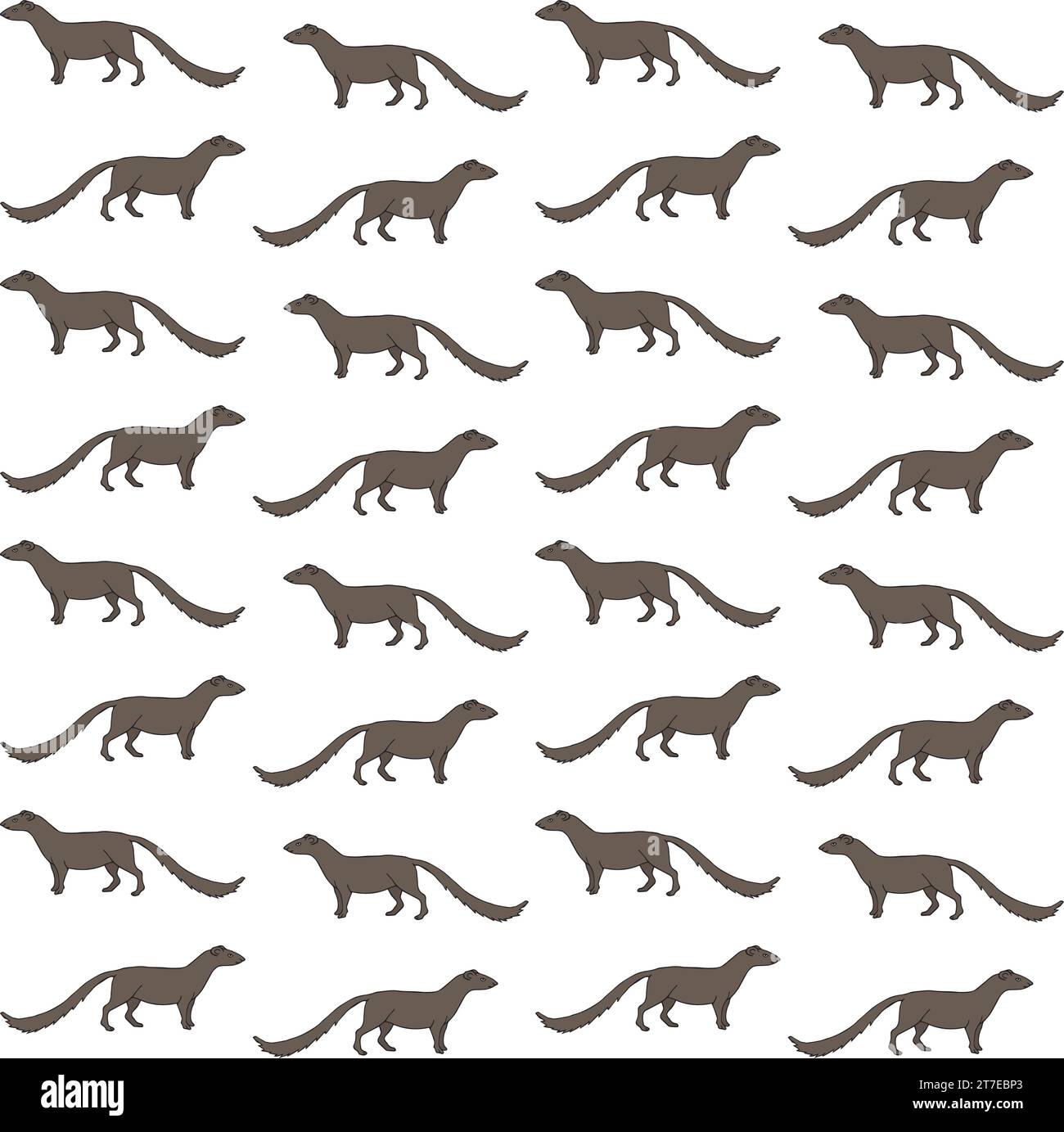 Vector seamless pattern of hand drawn doodle sketch mongoose isolated ...