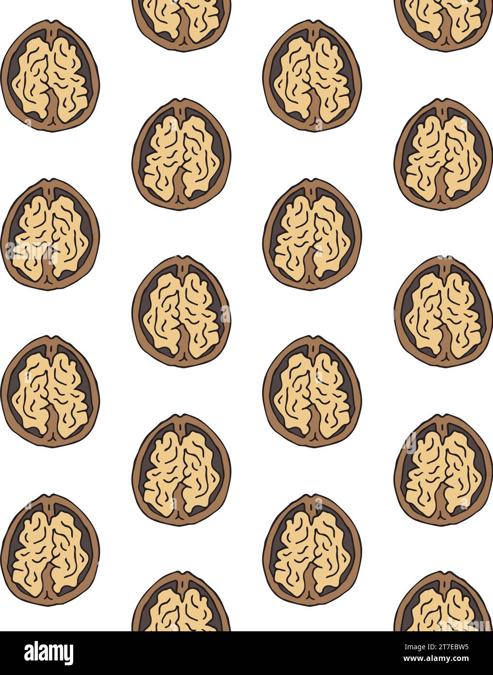 Vector seamless pattern of hand drawn doodle sketch colored Walnut nut ...
