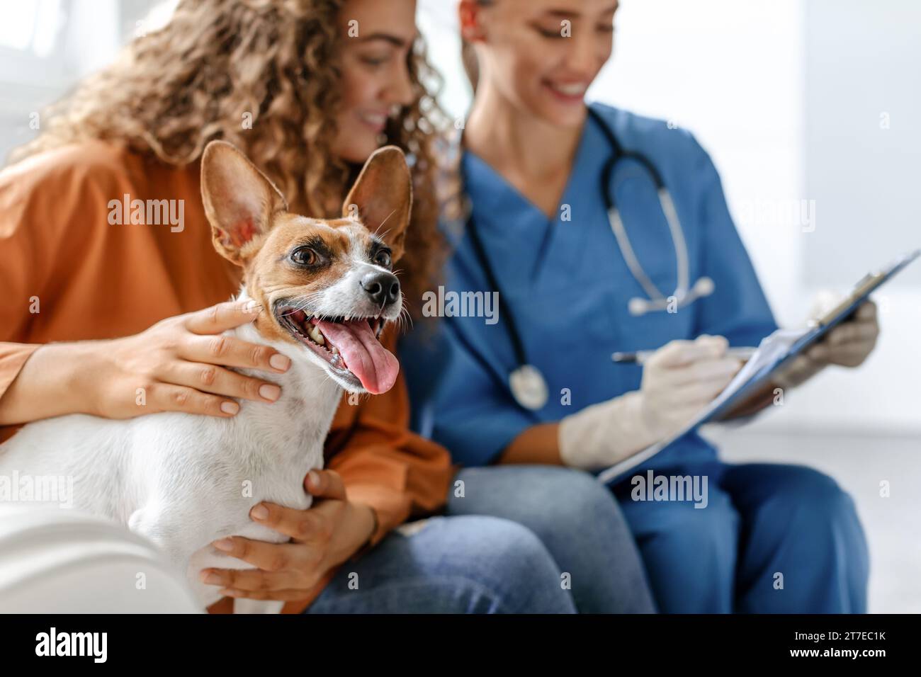 Happy dog with female owner at vet's office Stock Photo - Alamy