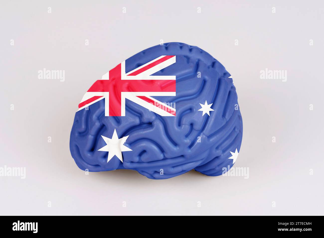 On a white background, a model of the brain with a picture of a flag ...