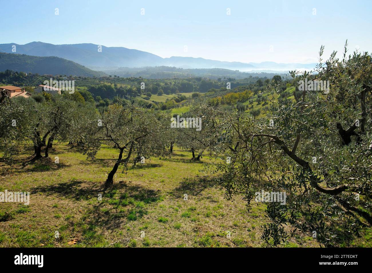 Landscape. Tarano. Lazio. Italy Stock Photo - Alamy