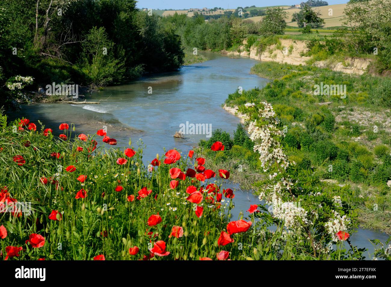 Ripa bianca hi-res stock photography and images - Alamy