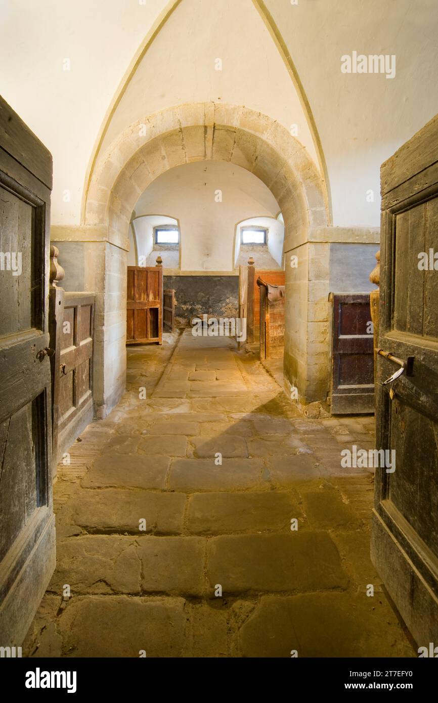 Carpegna palace hi-res stock photography and images - Alamy