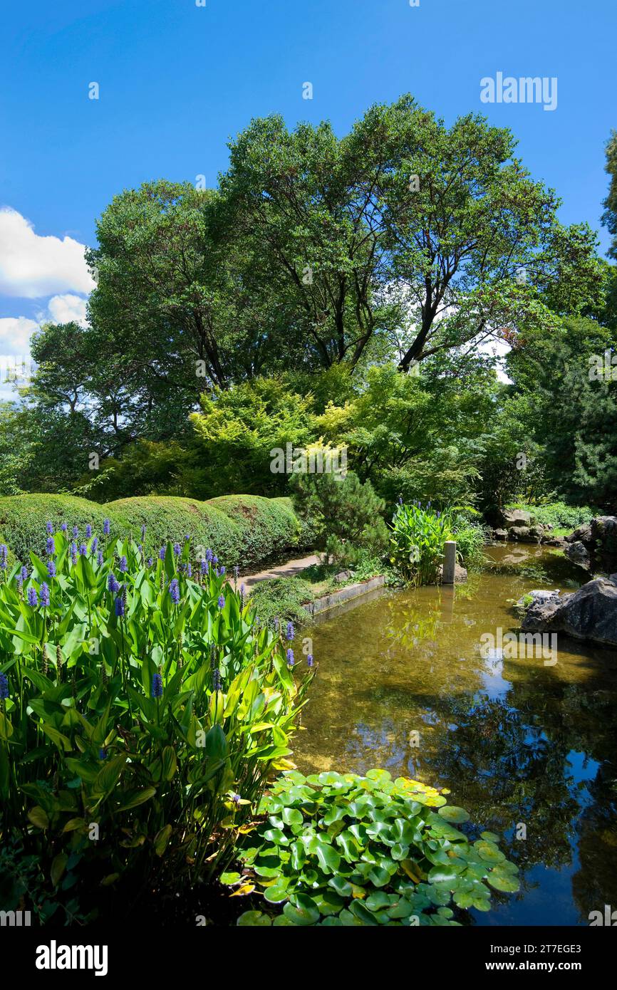 Rome italy botanical garden hi-res stock photography and images - Alamy