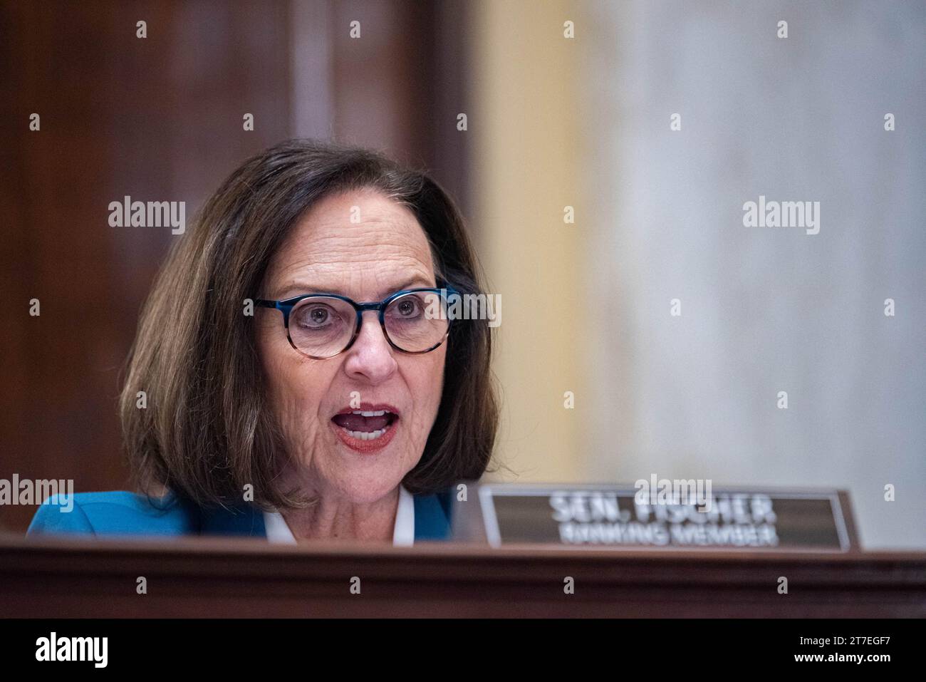 Washington, United States Of America. 14th Nov, 2023. United States ...