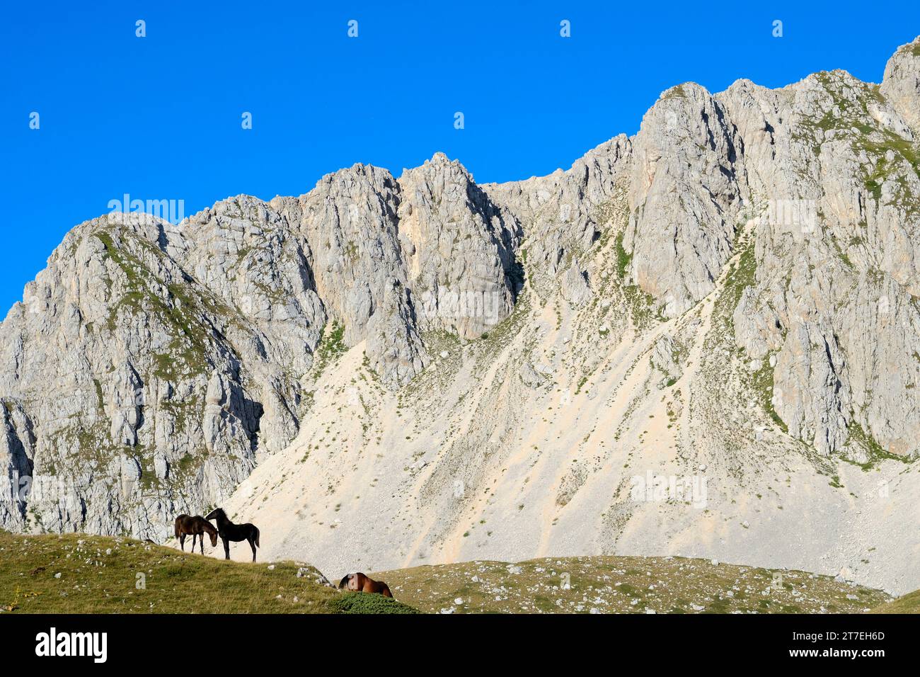 Terminillo hi-res stock photography and images - Alamy