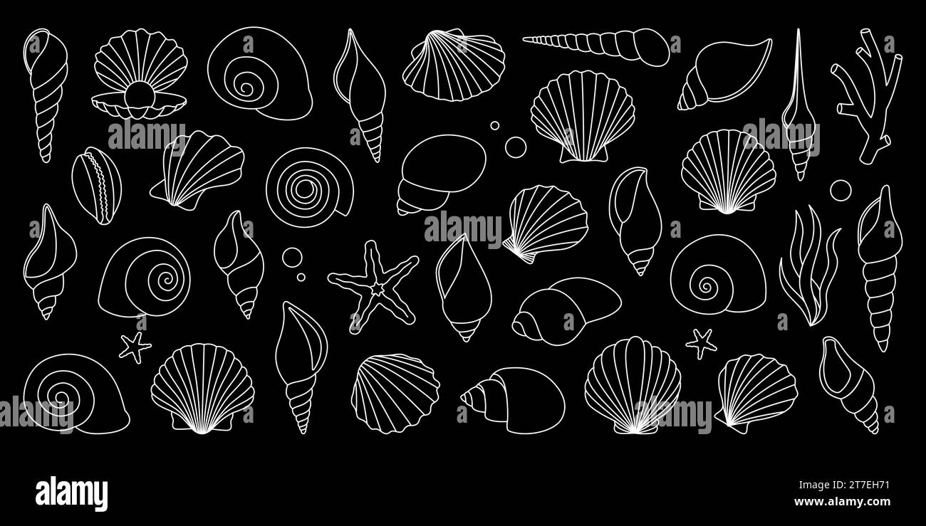 Underwater shells set. Tropical underwater shells. Freshwater algae ...