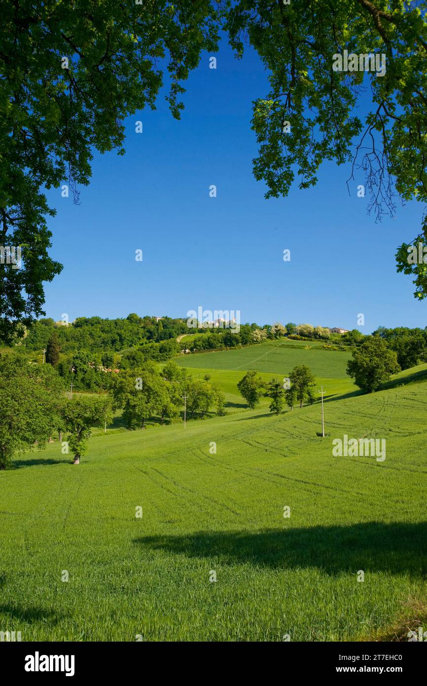 Fraction of Monterolo. Pergola. Marche. Italy Stock Photo - Alamy