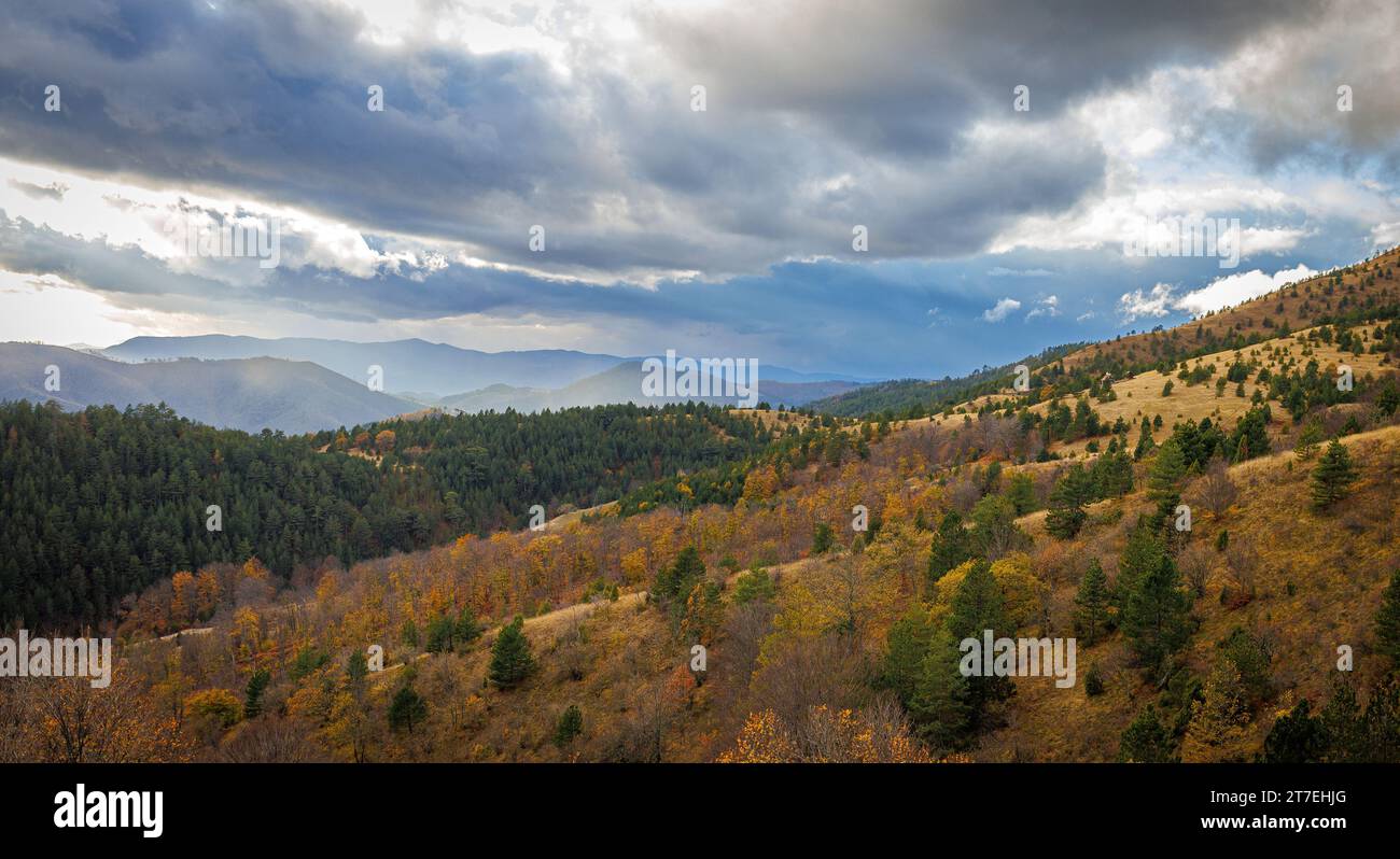 Landscape in Serbian mountains Tara on autumn with bright colors Stock ...