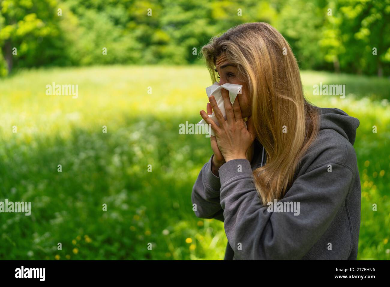 Woman with tissue covering nose, blurred green background, because of an allergy against pollen ...