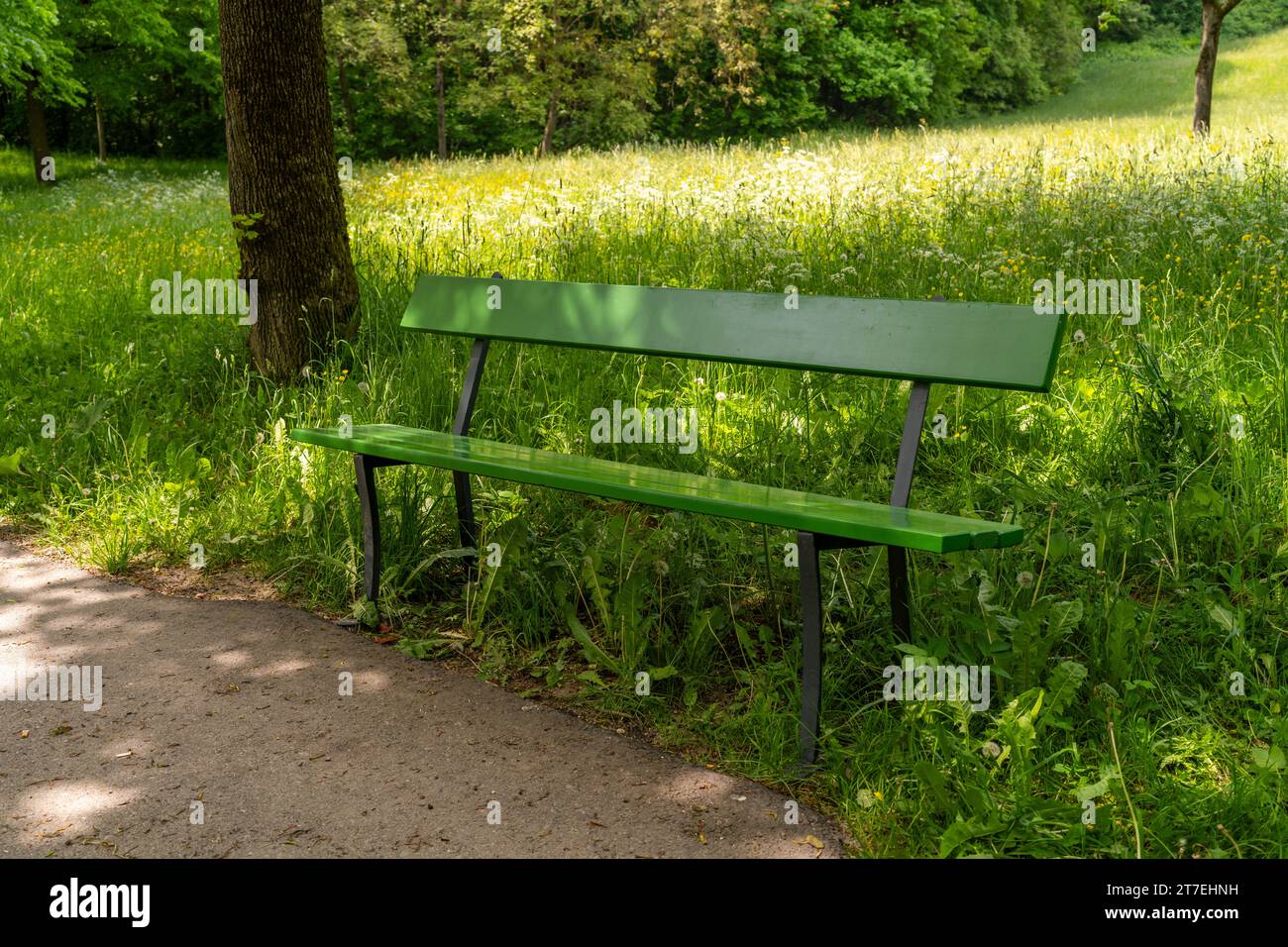 Empty green park bench surrounded by lush grass and trees Stock Photo ...