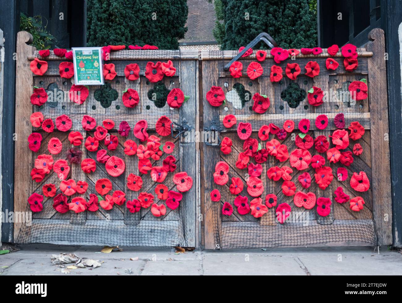 Hand knitted bright red poppies on a church lychgate, Barnes, London ...