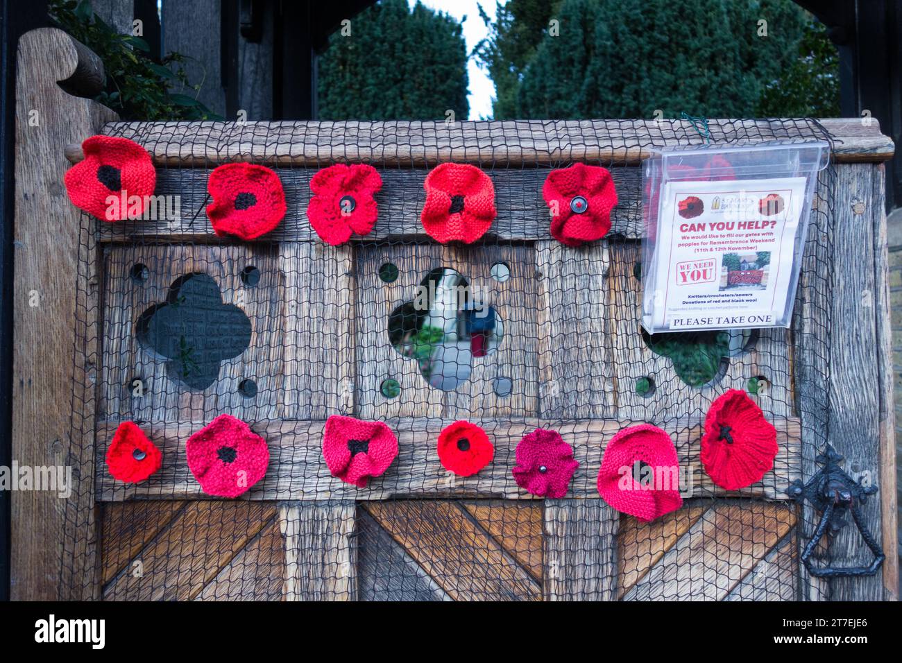 Hand knitted bright red poppies on a church lychgate, Barnes, London ...