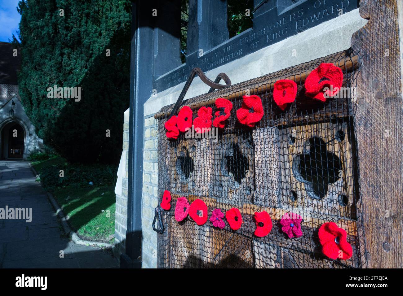 Hand knitted bright red poppies on a church lychgate, Barnes, London ...