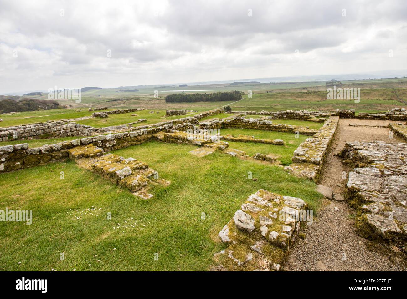 Looking out over the ruins of the barracks at Housestead fort, a Roman ...