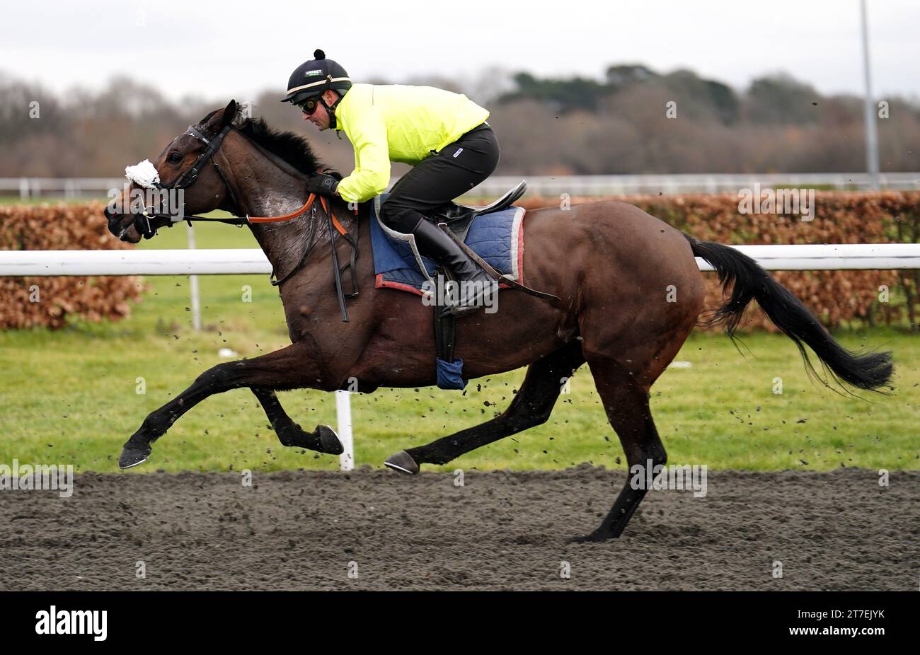Middleham park racing hi-res stock photography and images - Alamy