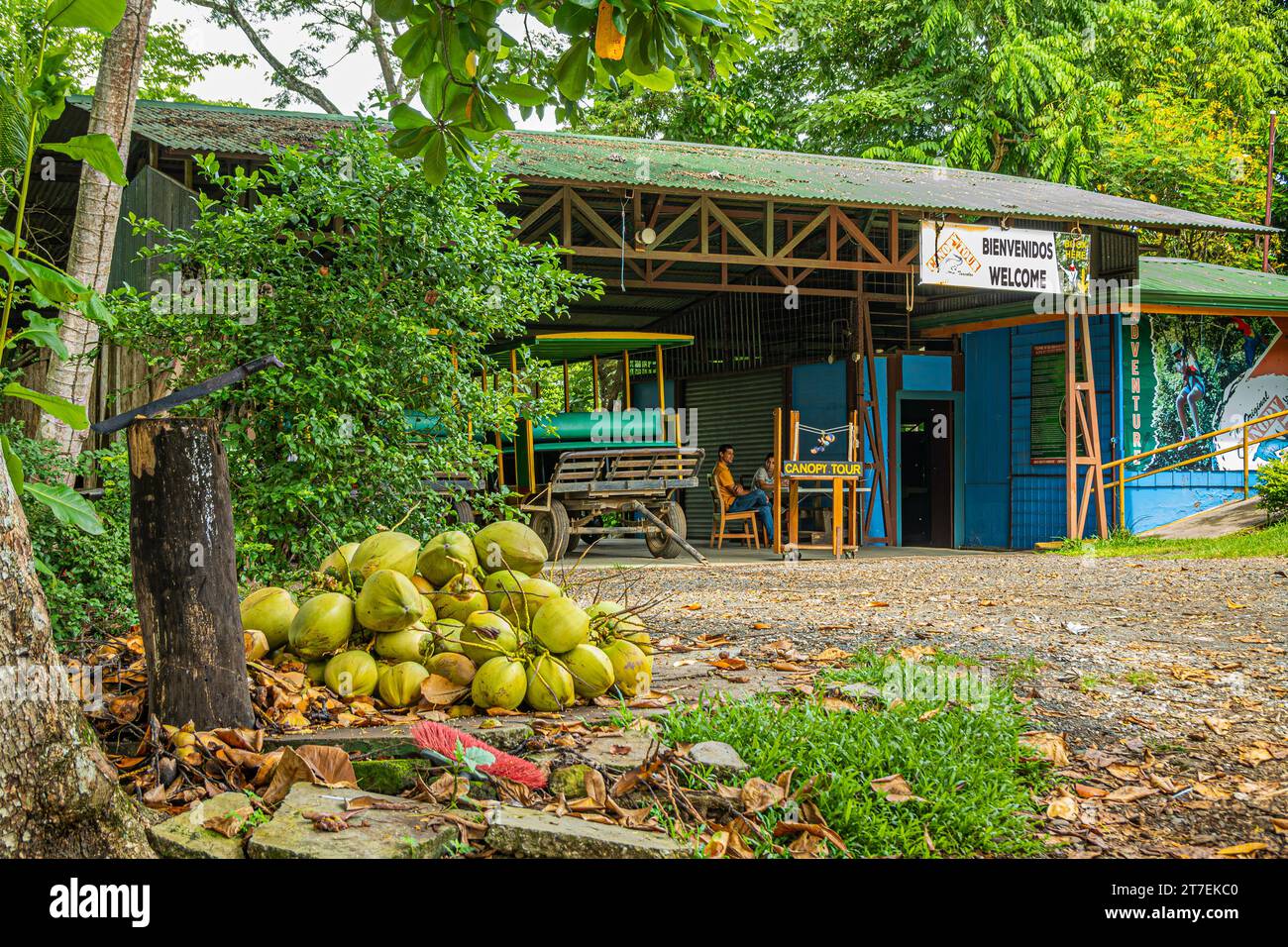 Costa Rica, Luganillas - July 22, 2023: Tarcoles River and Crocodile ...