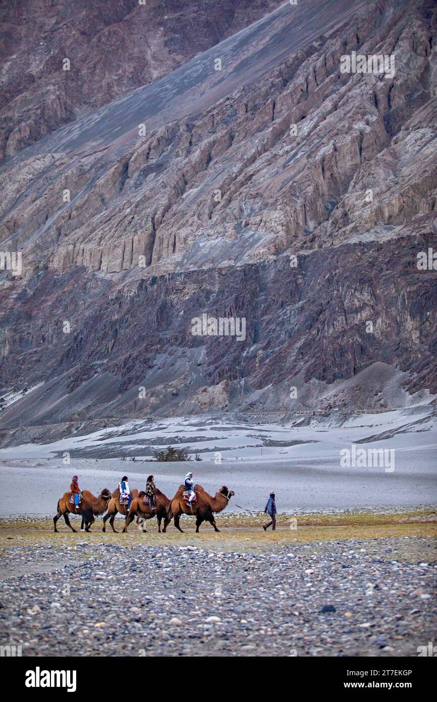 Hunder (Hundar) - Sand Dunes of Ladakh, India. A group of people enjoy ... Hunder (Hundar) - Sand Dunes of Ladakh, India. A group of people enjoy ...