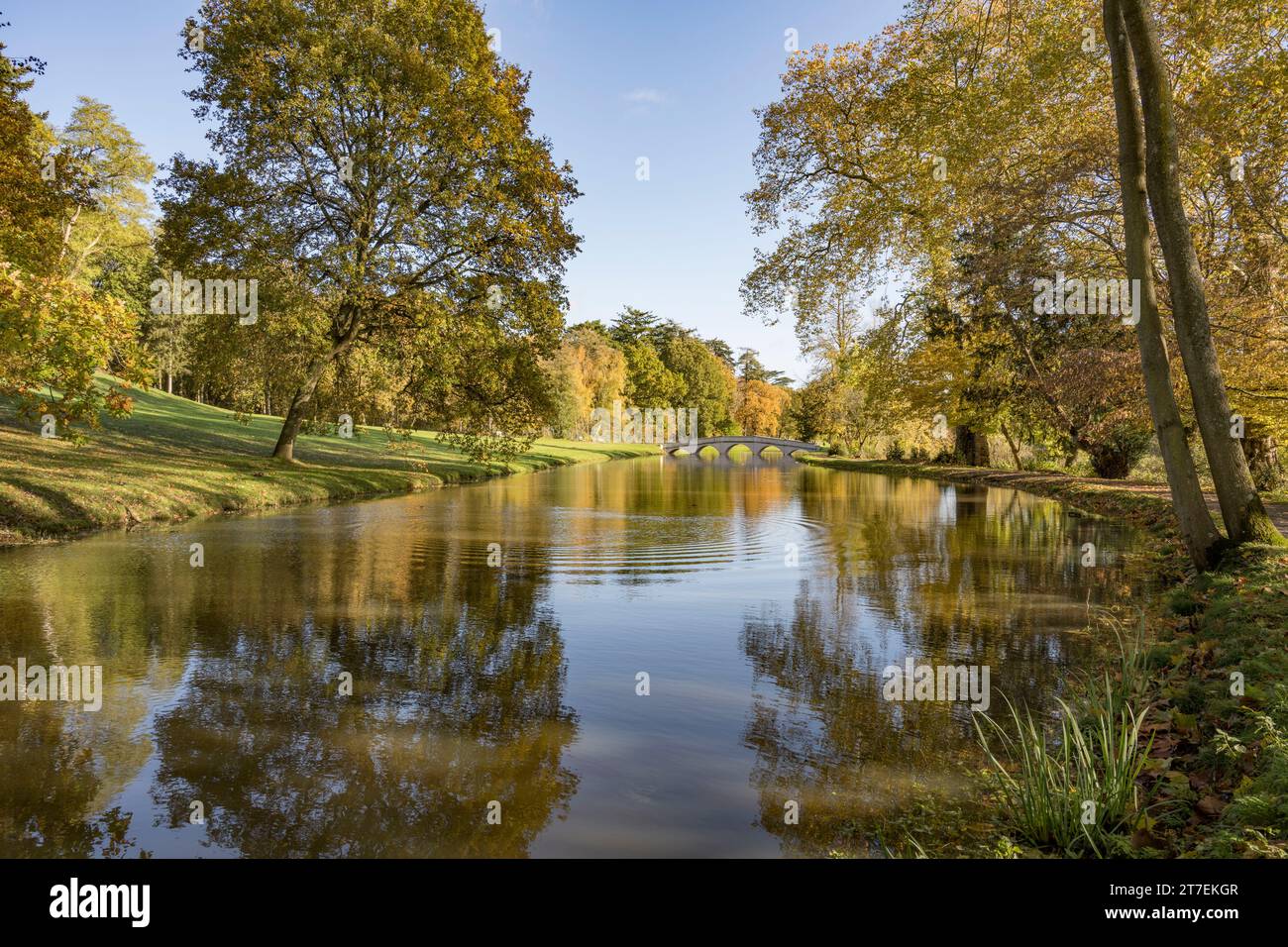 Glorious autumn colors in Surrey gardens Stock Photo - Alamy