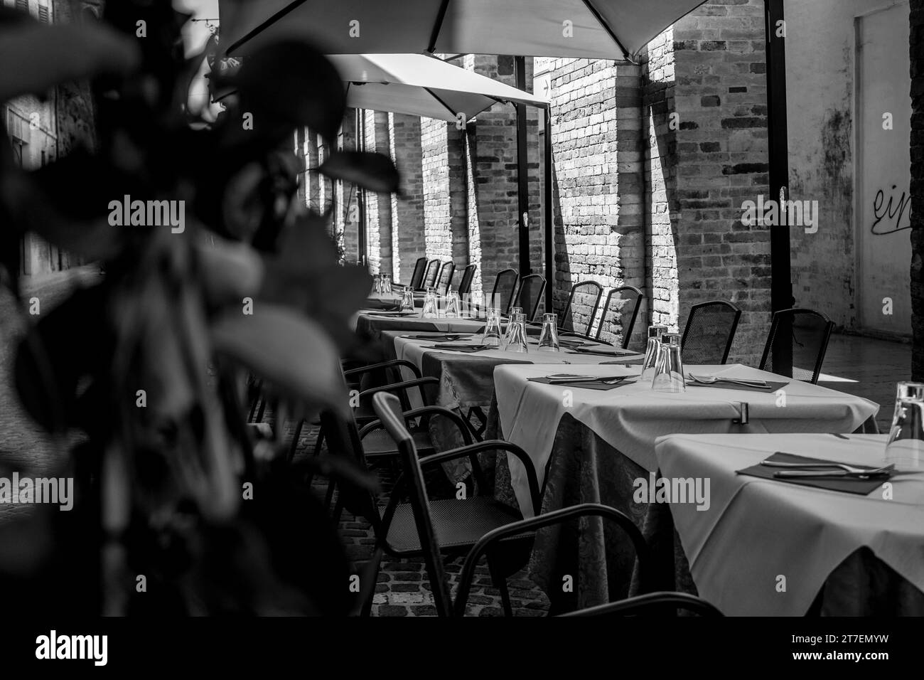 How to take a photo Black and White Stock Photos & Images - Alamy