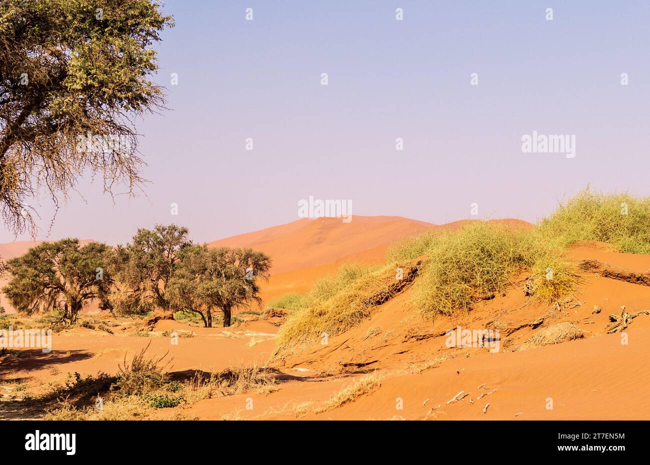 Impression of the massive sanddunes that comprise the Sossusvlei of ...