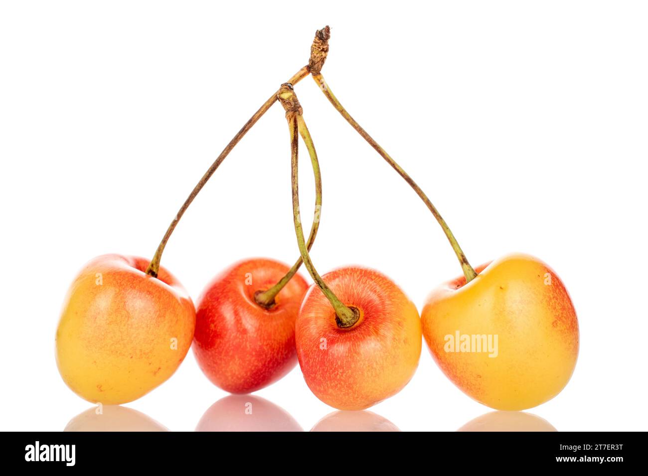 Four ripe cherries, macro, isolated on white background Stock Photo - Alamy