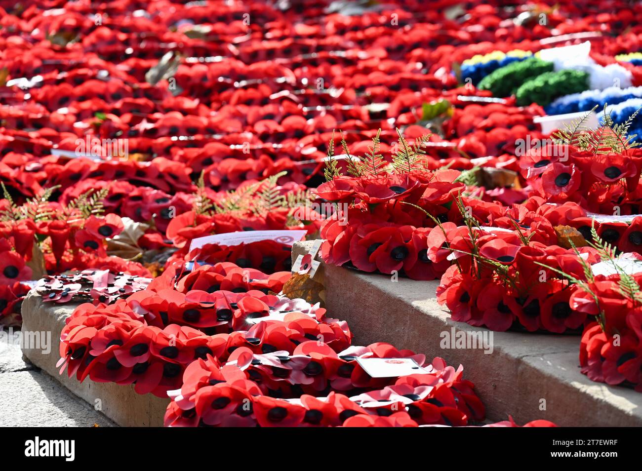 Cenotaph remembrance wreaths hi-res stock photography and images - Alamy