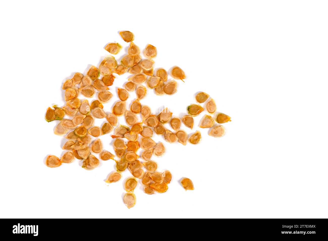 Tomato seeds against white background Stock Photo - Alamy