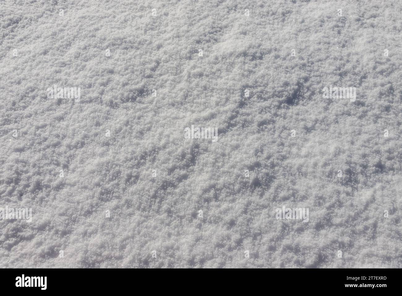 Beautiful winter background with snowy ground. Natural snow texture ...