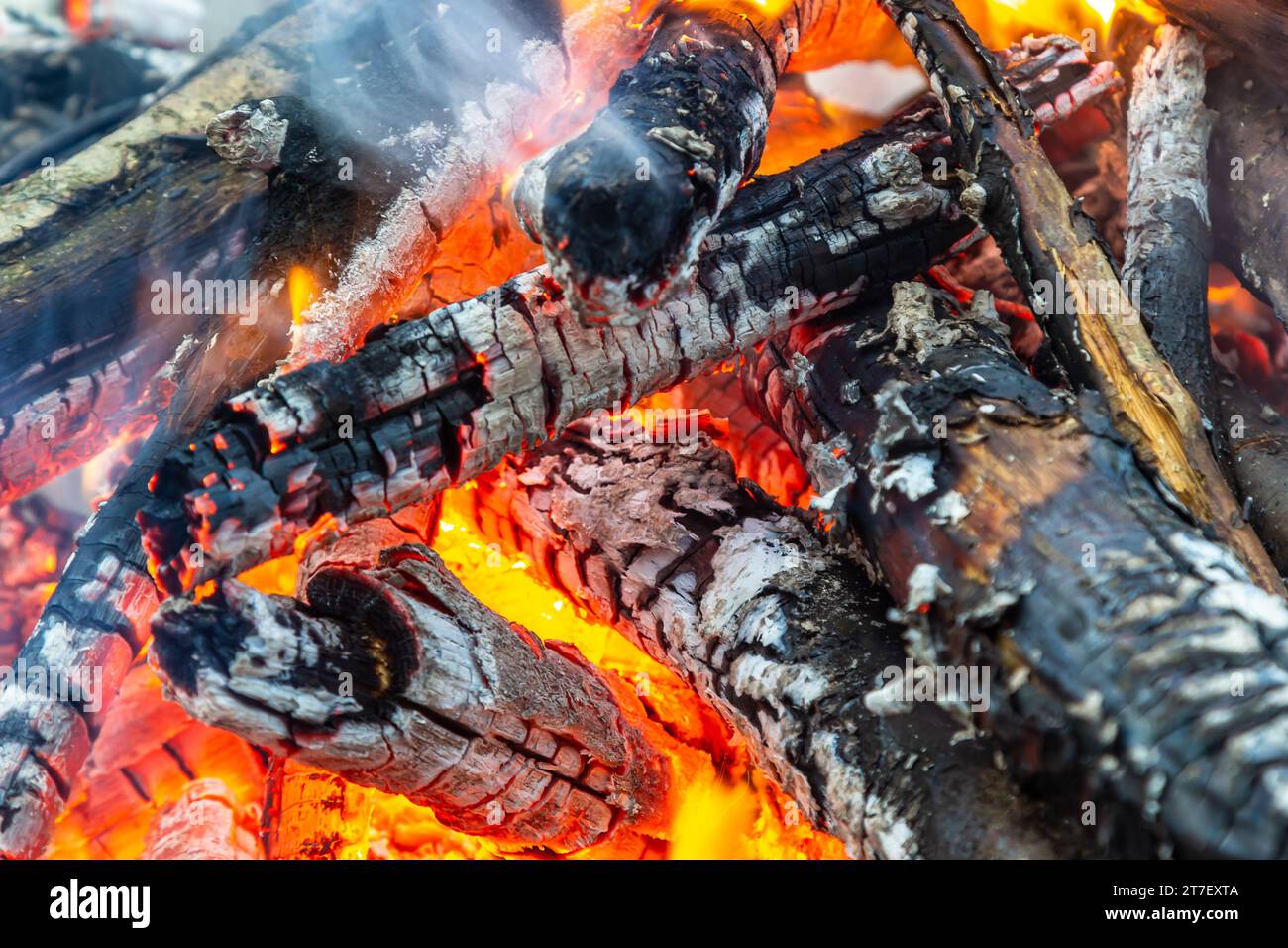 Campfire in the spring forest. Rest on the weekend. Danger of forest ...
