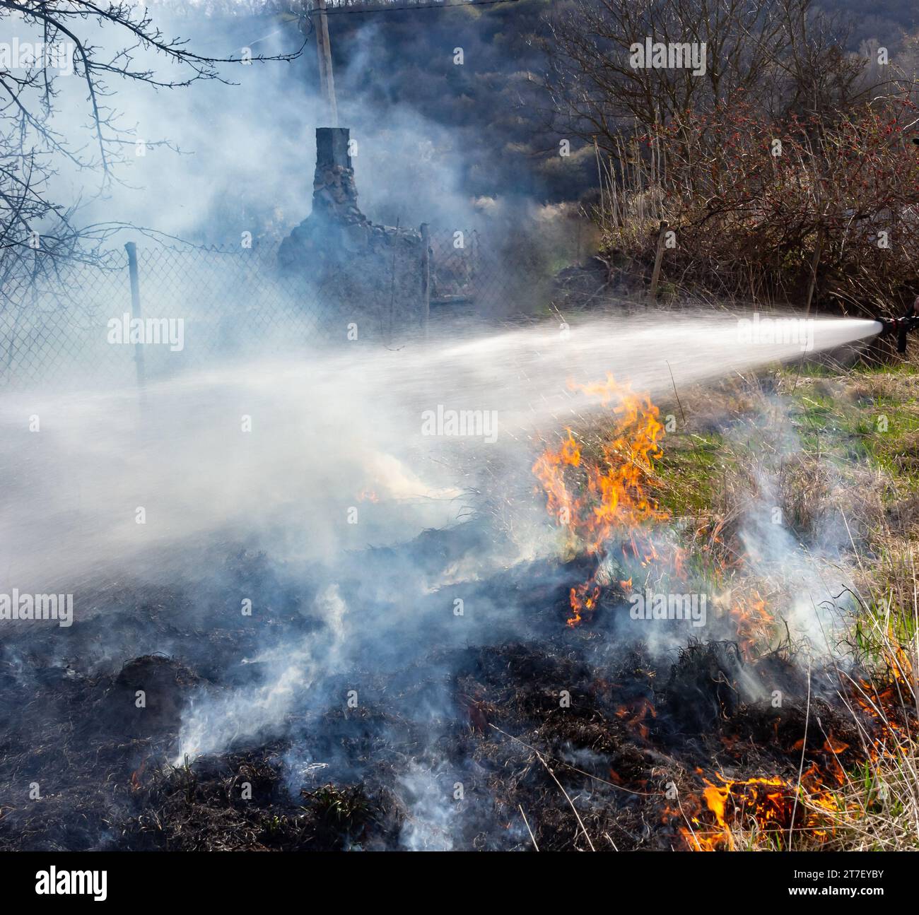 spring fire, burning dry grass near buildings in the countryside ...