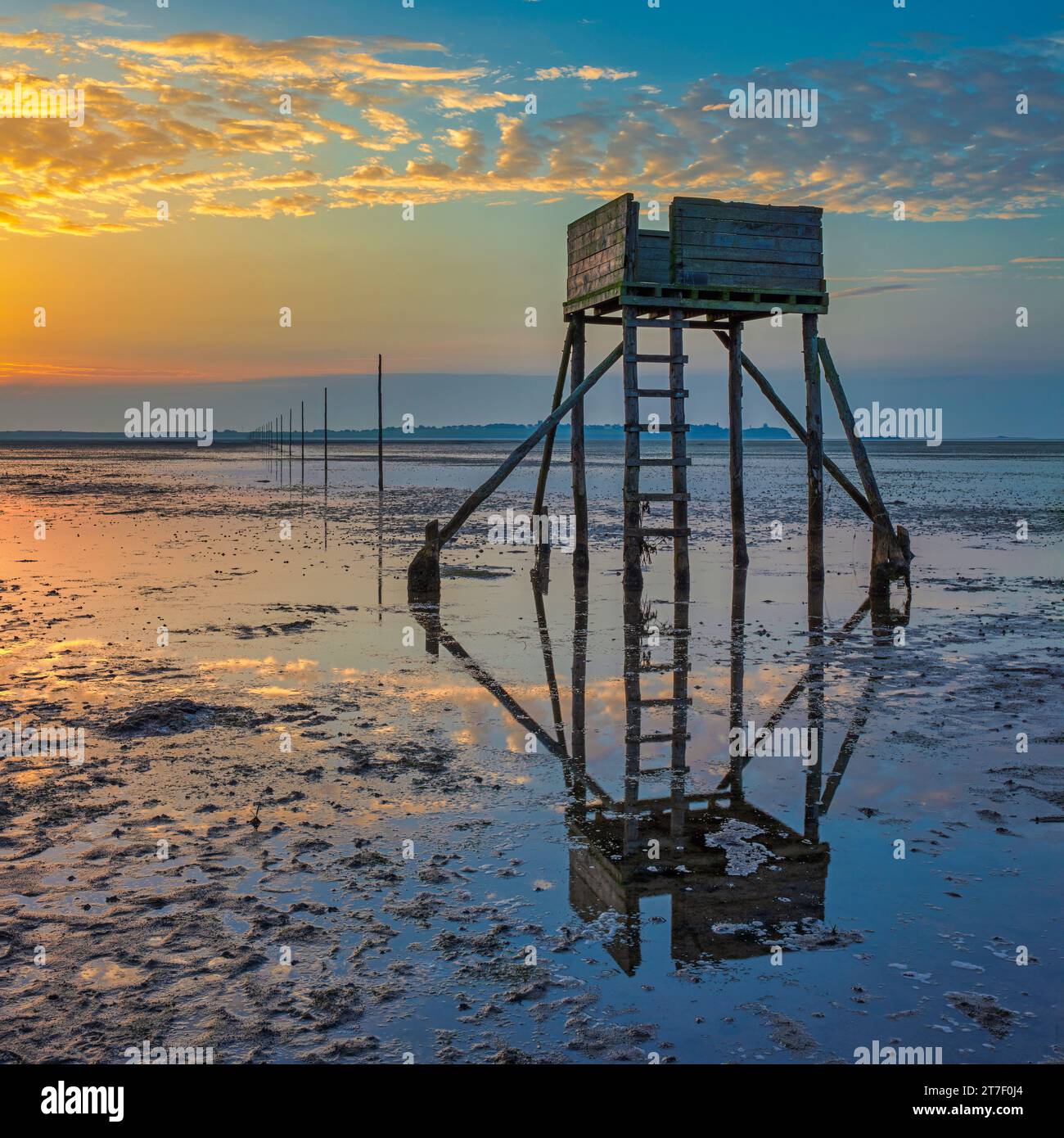 Sunrise on the Holy Island of Lindisfarne looking at the refuge hut on ...
