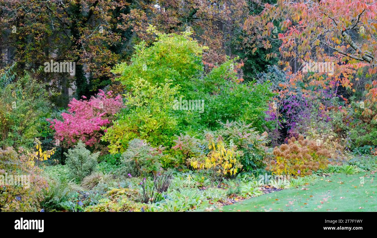 Garden trees border hi-res stock photography and images - Alamy